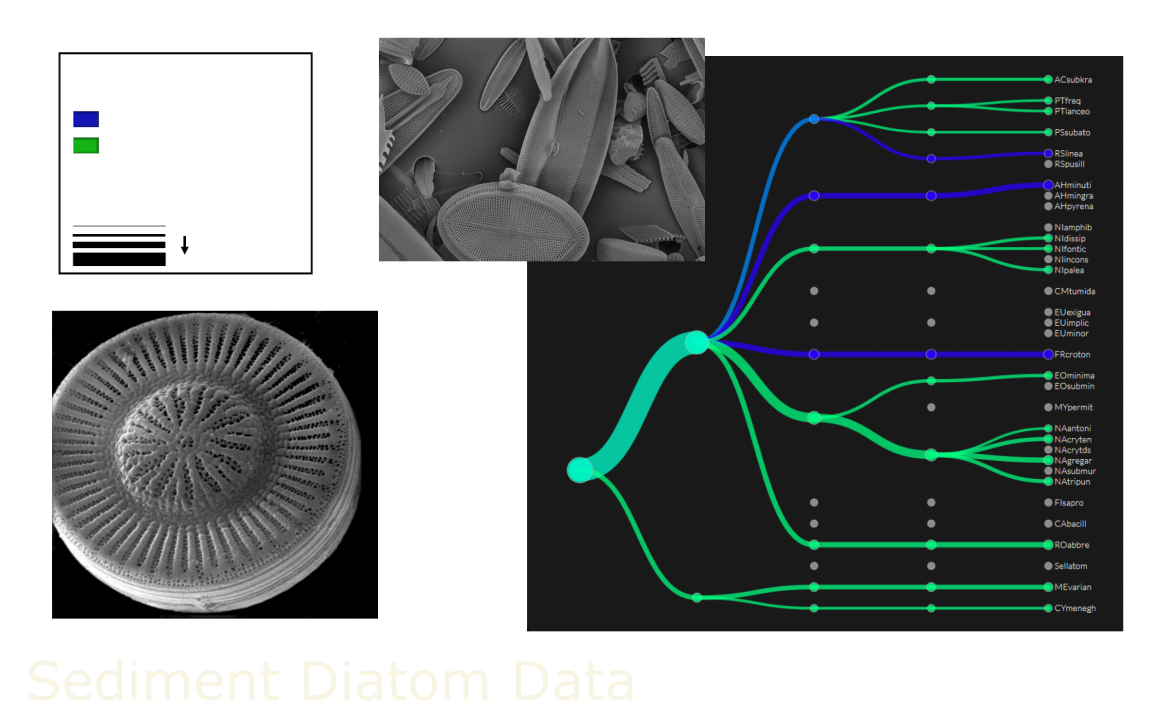 Aquatic Life Lake Assessments